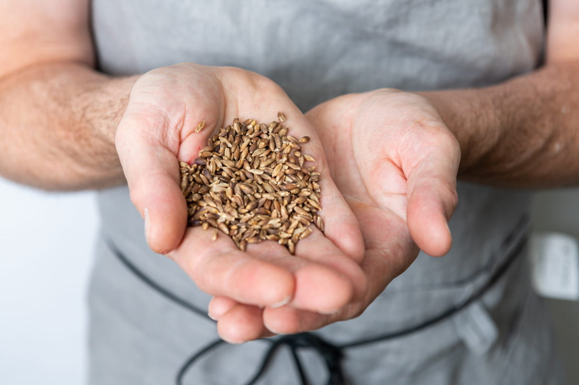 How To Make Sprouted Grains - A Guide. | Matthew James Duffy