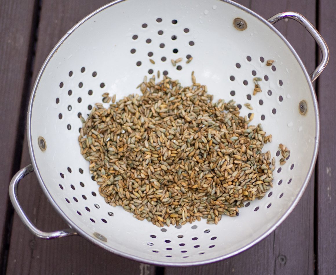 How To Make Sprouted Grains - A Guide. | Matthew James Duffy